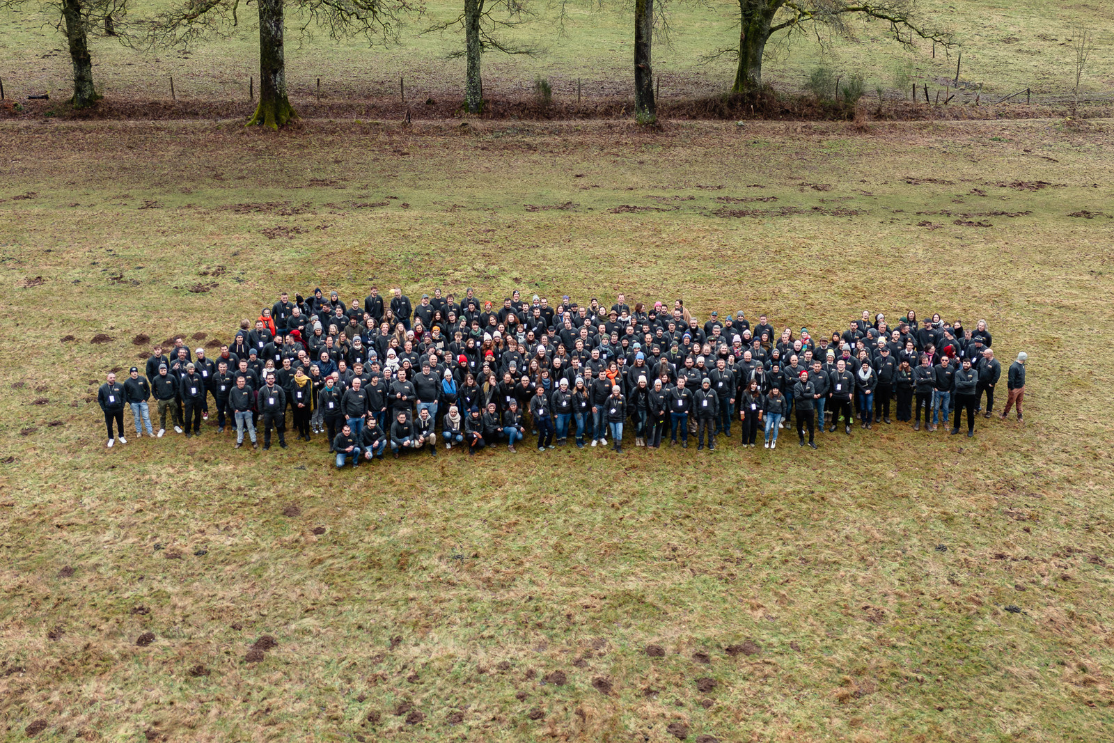 Over Camber | Camber